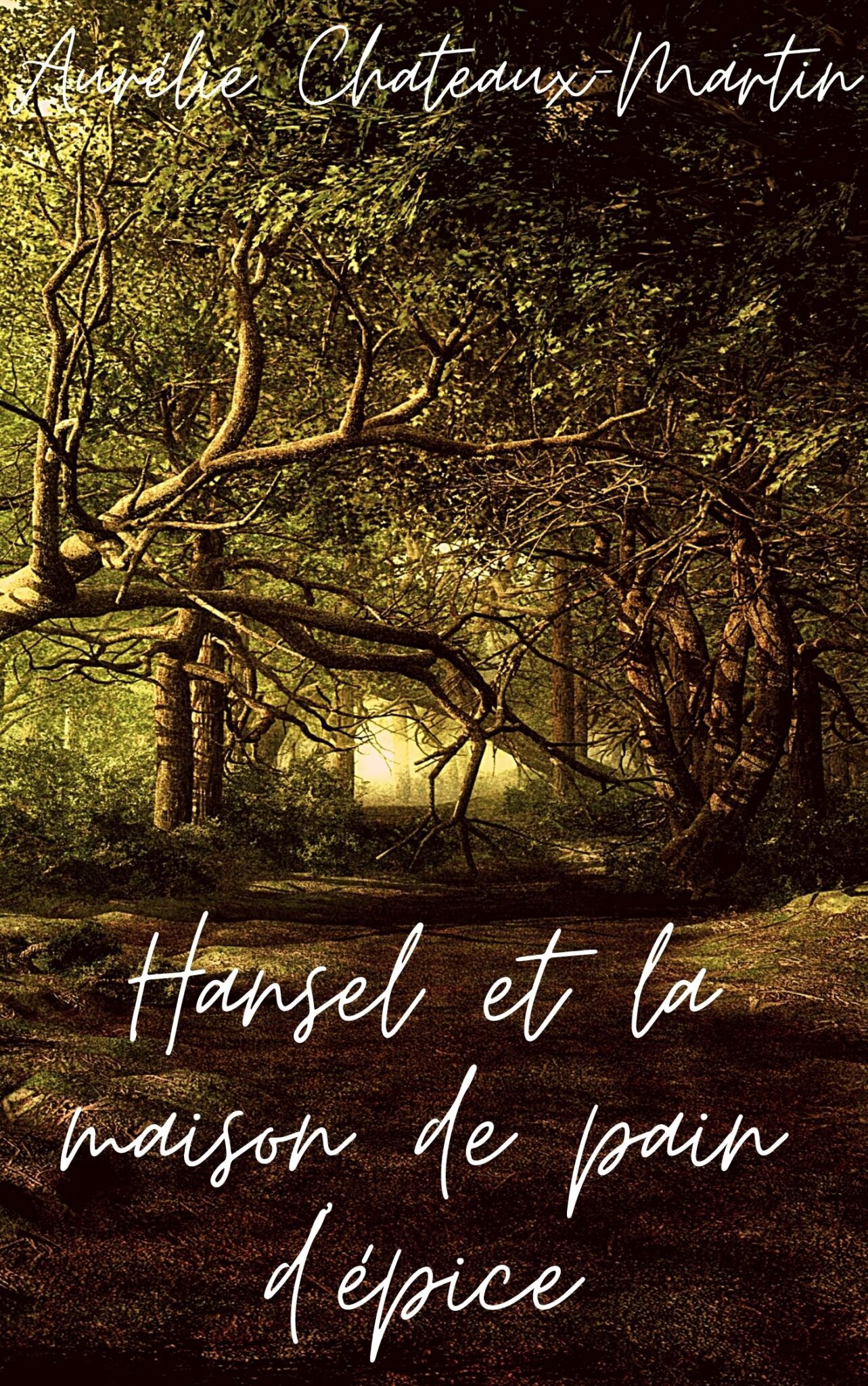 Hansel et la maison de pain d’épice - Aurélie Chateaux-Martin